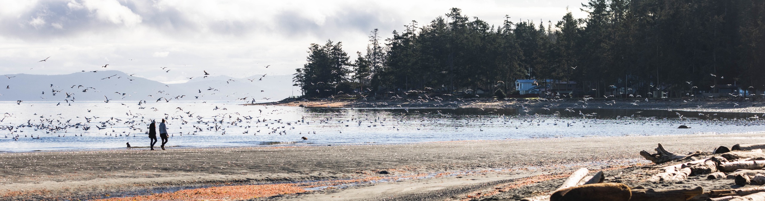 Comox Valley Tourism Strategy Plan | Engage Comox Valley